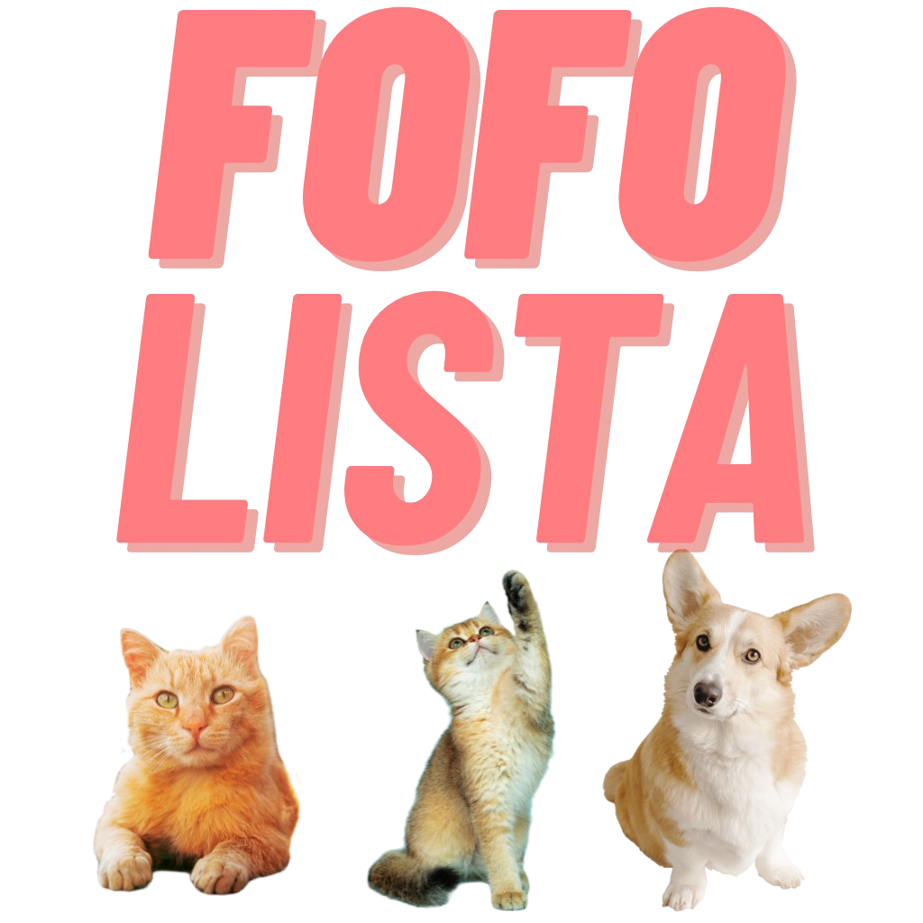 Portifólio Annie Gabrielle